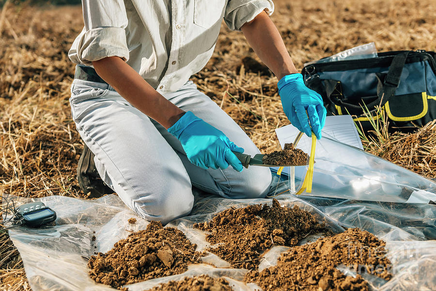 Soil Sampling Campaign