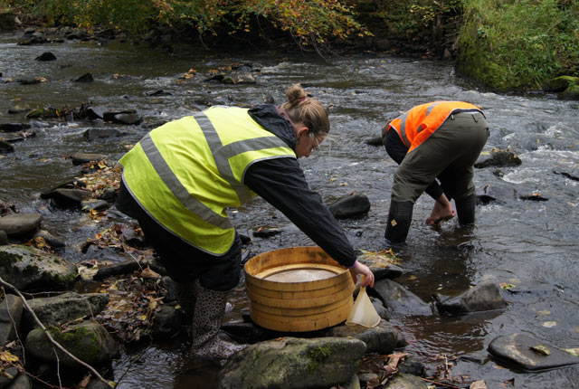 Stream Sediment Geochemical Survey